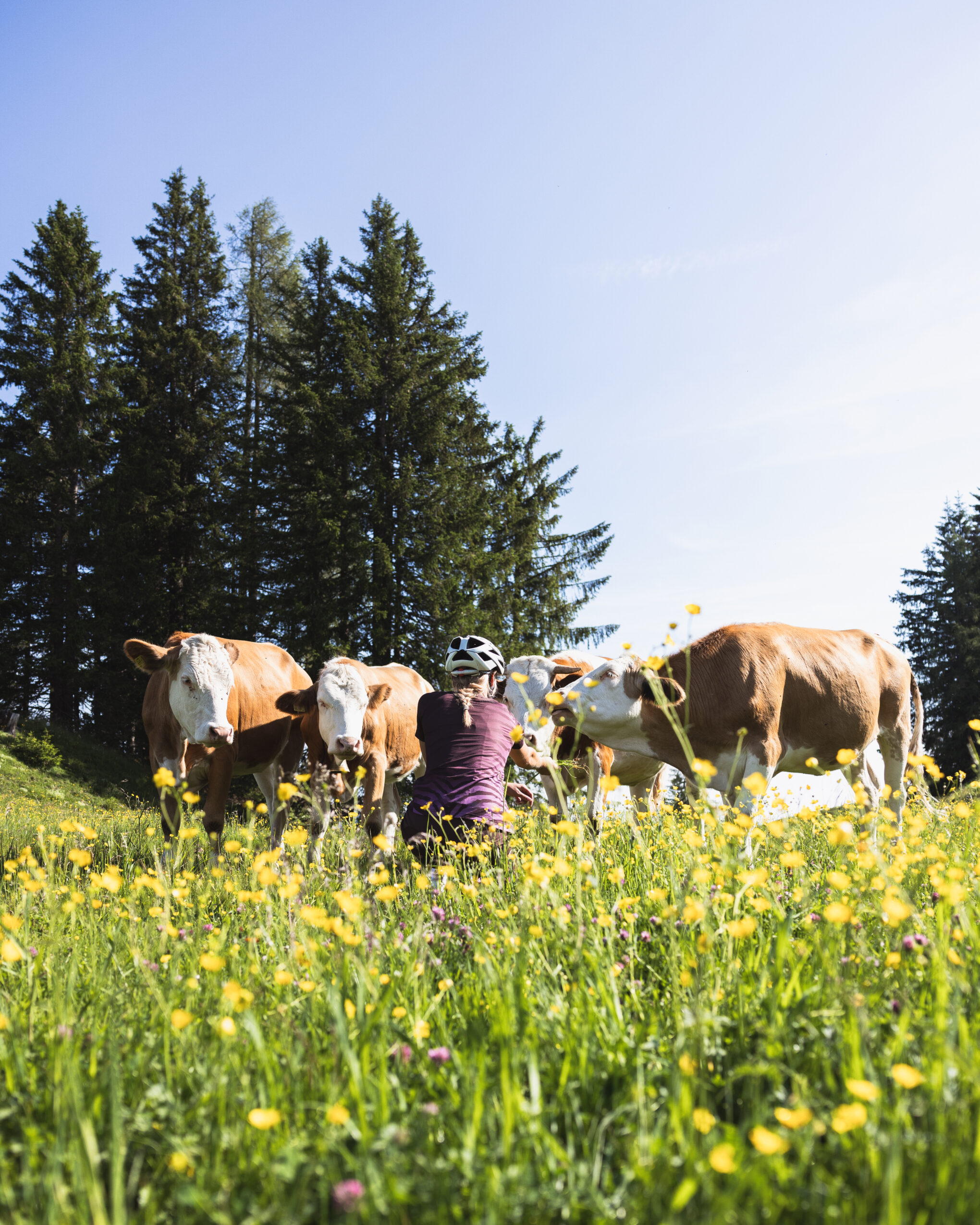 Sommerurlaub im Salzburger Land | Jetzt gleich buchen